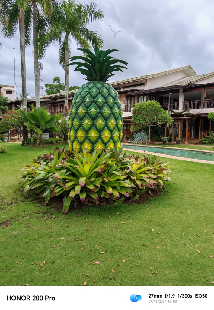 HONOR 200 Pro REVIEW: Impressive Portrait Photography and New Battery ...