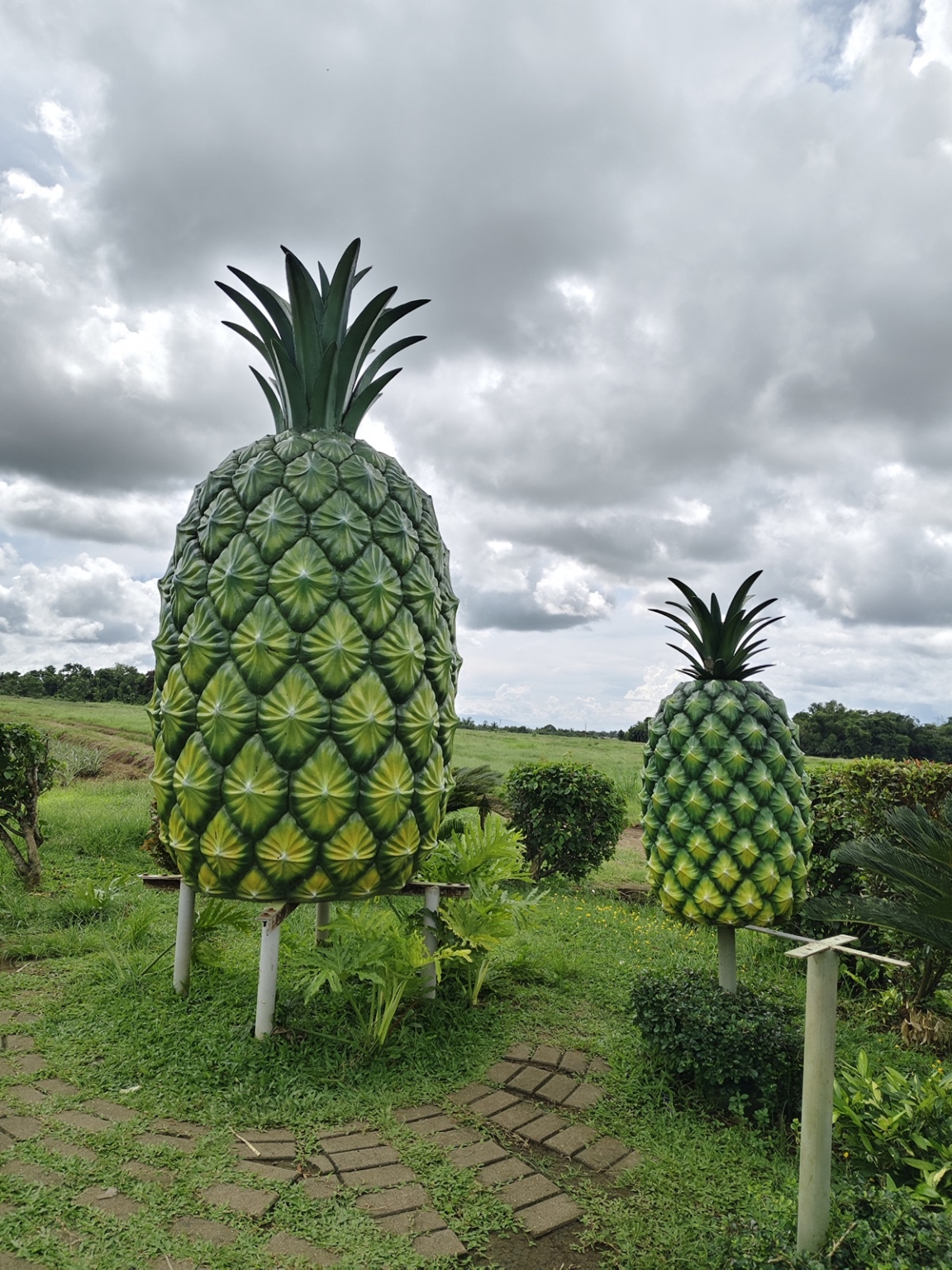 vivo V40 Sample Photos: ZEISS–powered Portrait Photography | Pinoy Techno Guide